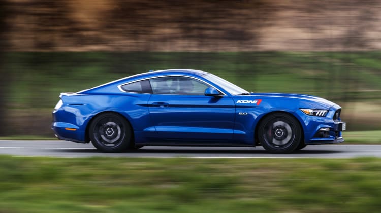 Koni at Bilster Berg | Evo