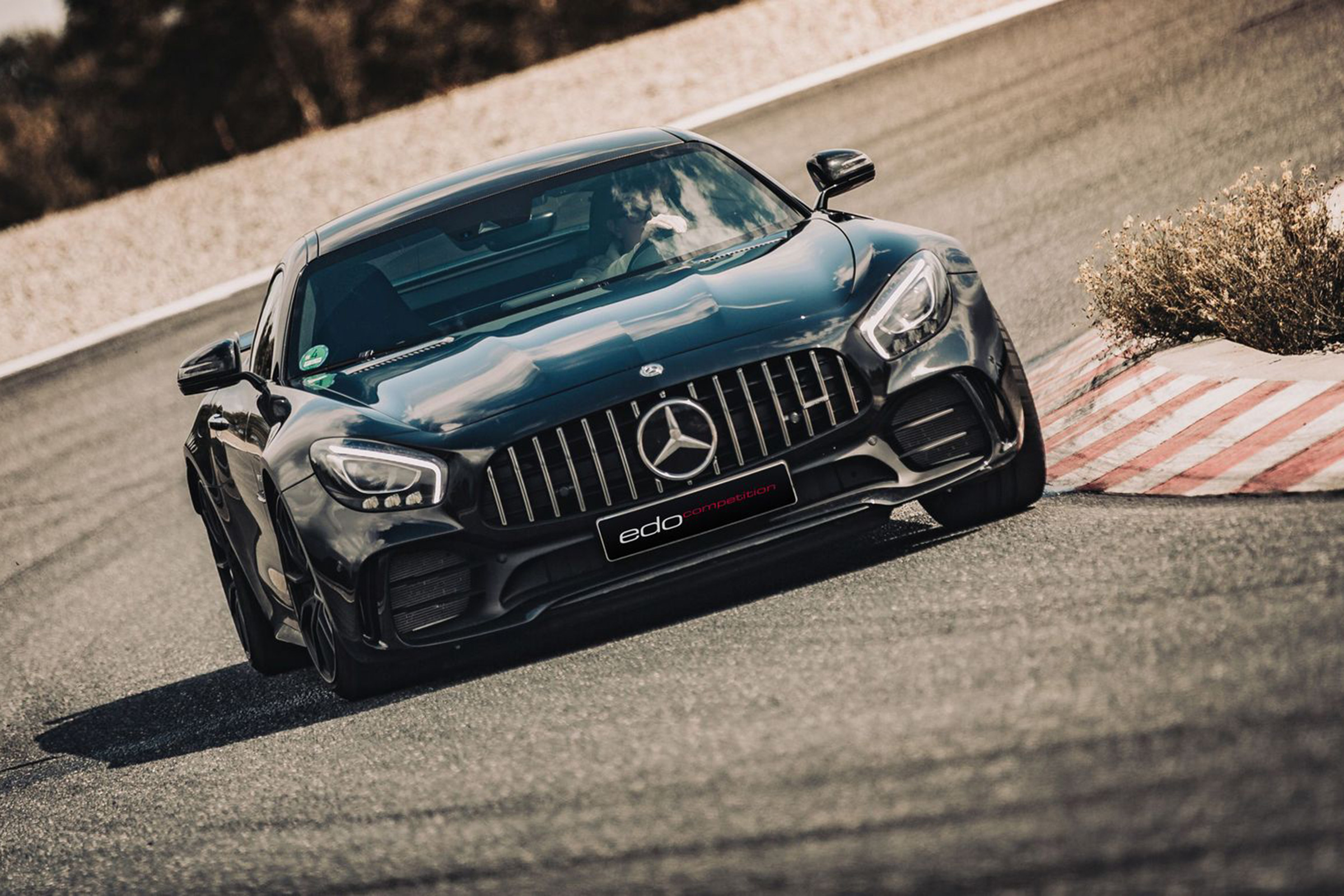 Edo Competition Mercedes-AMG GT R – pictures | evo